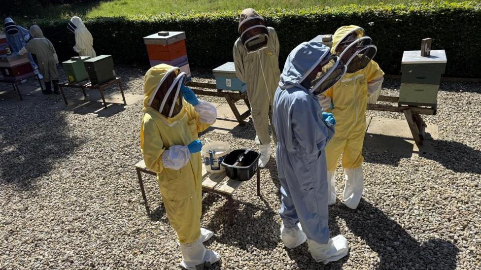 County Antrim: Young beekeepers buzz with excitement at competition ...