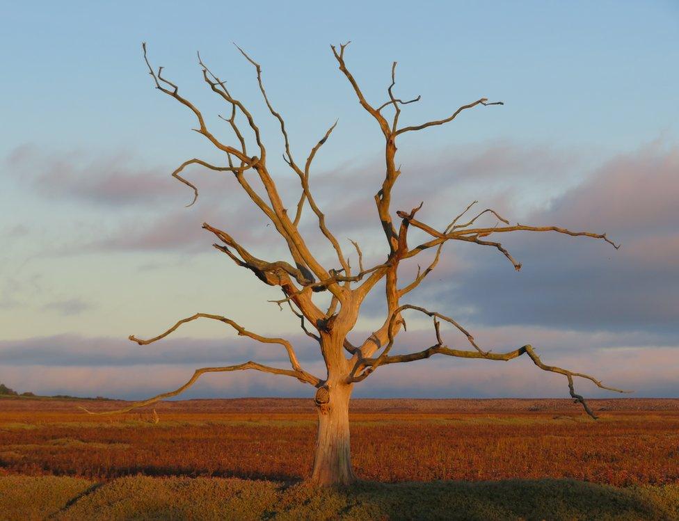 England's Big Picture: 1 - 7 October - BBC News