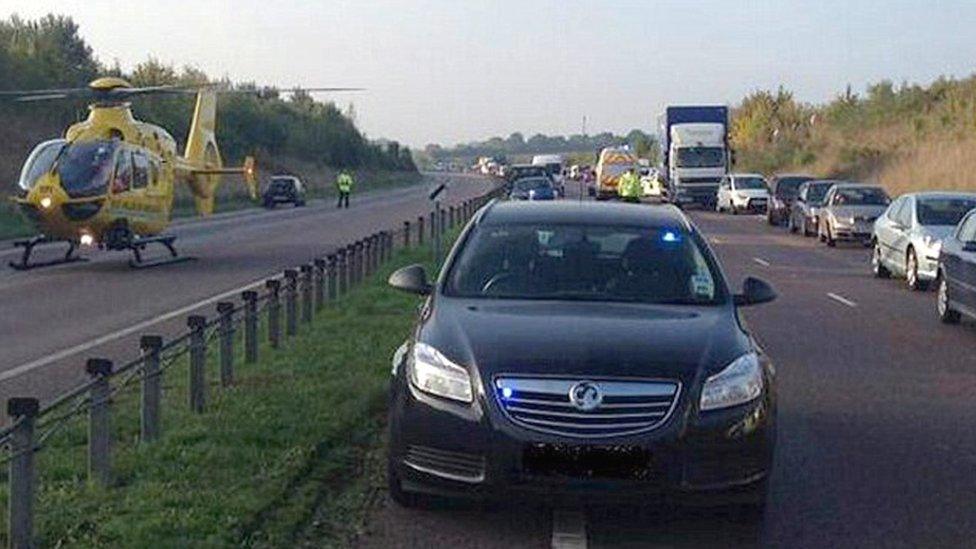 A10 deer crash victims died when vehicle hit their stationary car - BBC ...