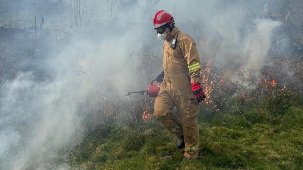 NI wildfires: Fire crews tackle almost 300 incidents in one week - BBC News