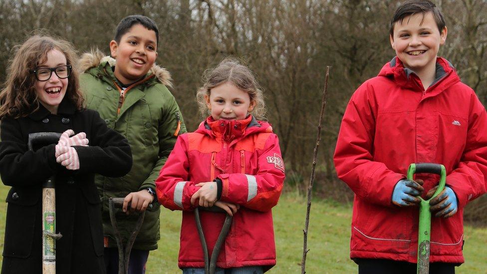 Park life: Glasgow's east end orchard - BBC News
