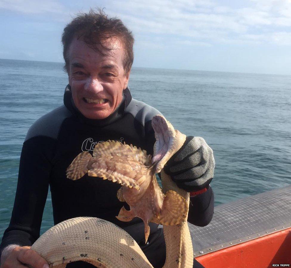 Fish and snake caught mid-battle by Australian fisherman - BBC News