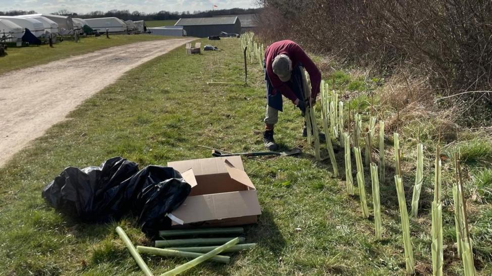 Stroud Valleys Project volunteers beat own planting record - BBC News