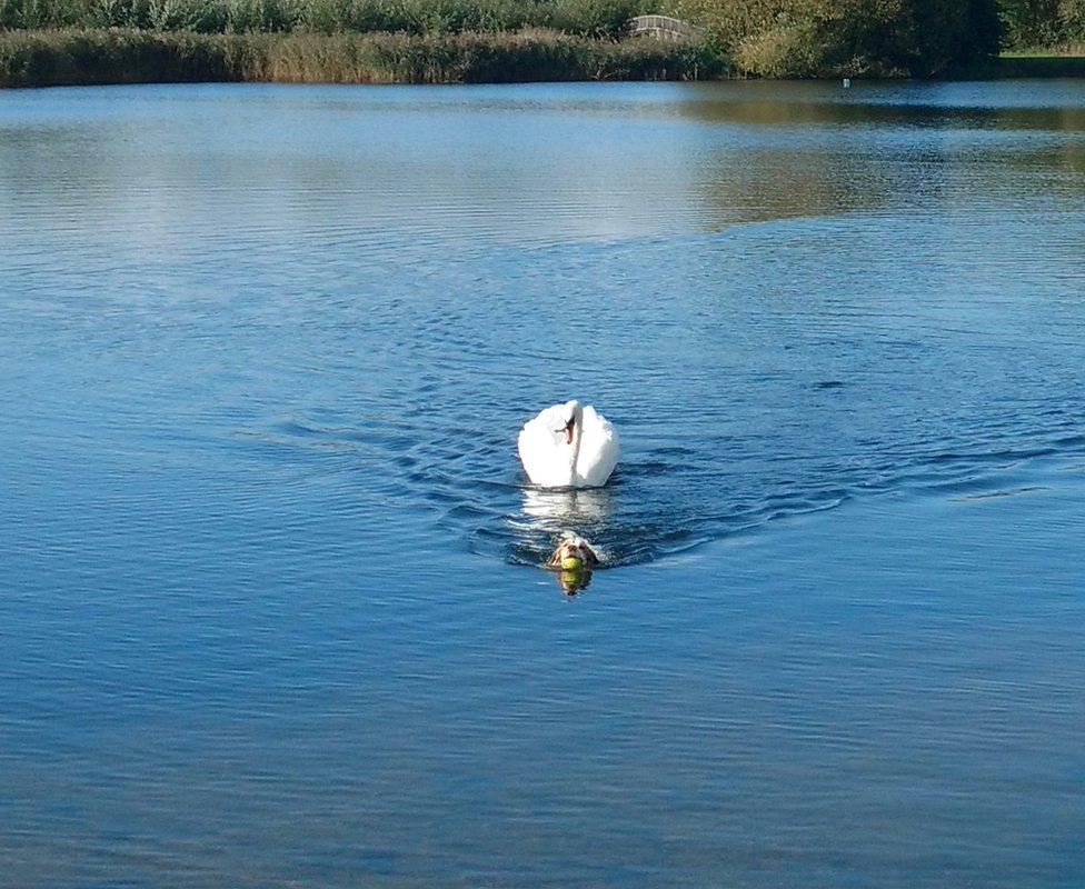 England's Big Picture: 10 - 16 October - BBC News