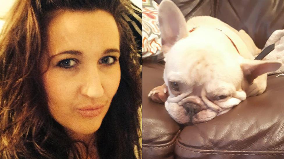 French bulldogs theft: Mum feared gang 'would kill baby' - BBC News