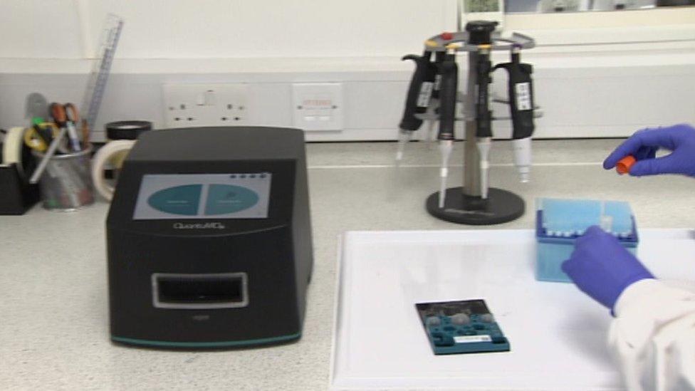 'Mini lab' hope for quick Covid test results - BBC News