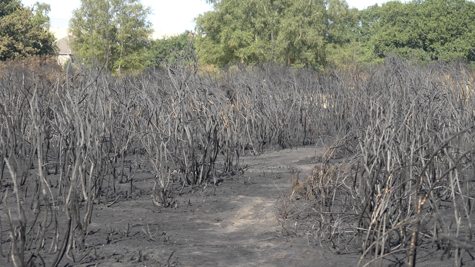 Rushmere Heath: Fire crews monitoring for hot spots - BBC News