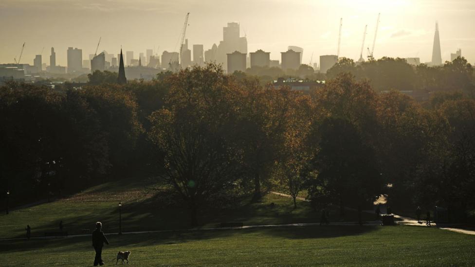 No New Year's Eve fireworks on Primrose Hill - Met Police - BBC News