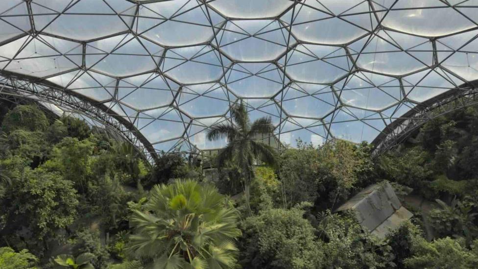 Eden Project hosts Earth Day film for children - BBC News