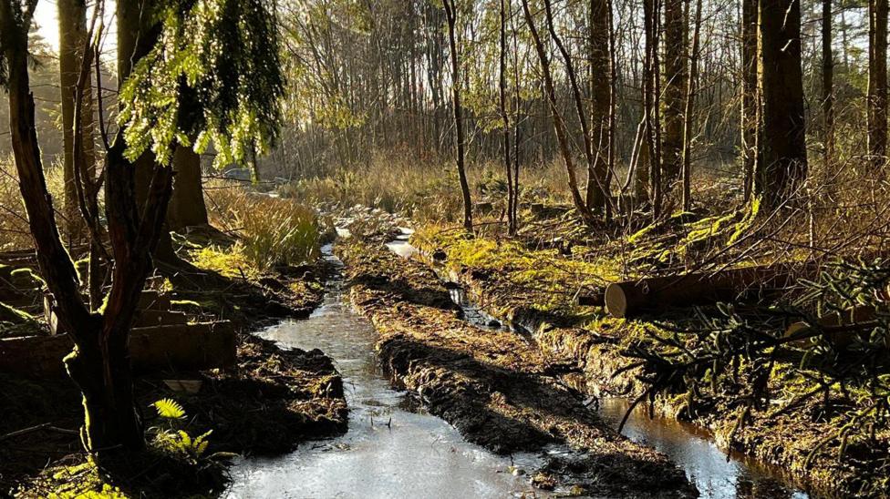 New North York Moors National Park HQ in Helmsley given go-ahead - BBC News