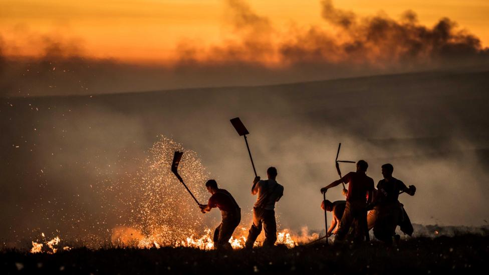 Fire service warning after huge blaze in Cannock Chase woodland - BBC News