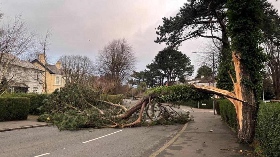 Storm Éowyn: Thousands without power as storm batters NI - BBC News
