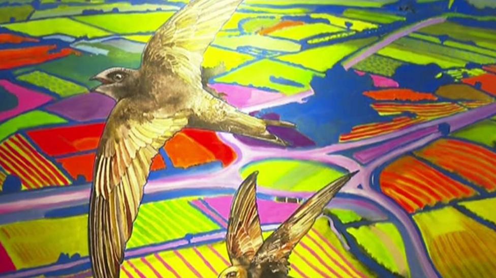 Jim Moir, better known as Vic Reeves, brings bird art to Harrogate ...