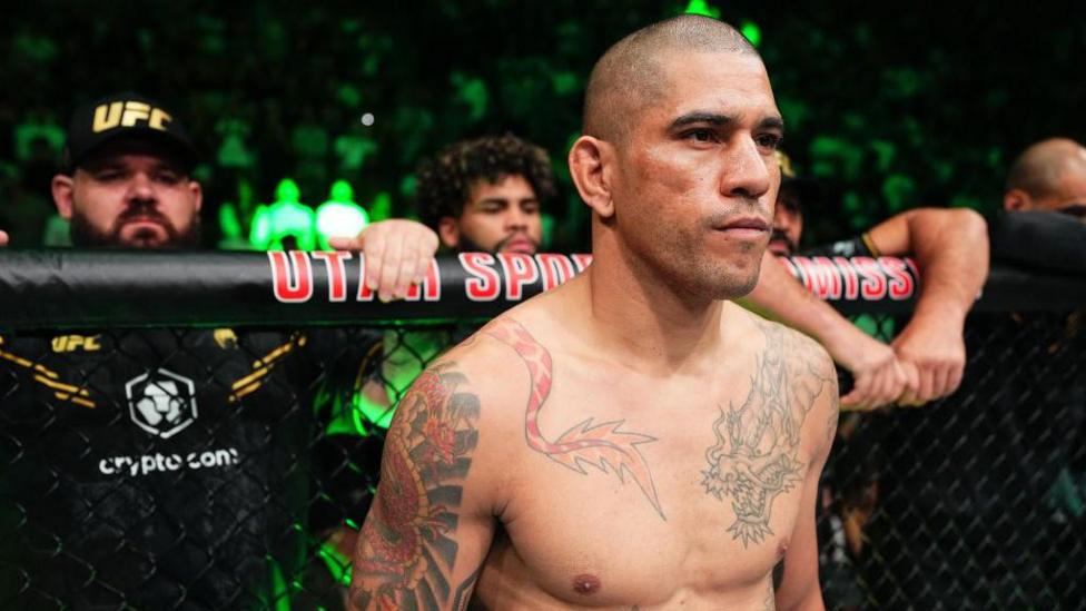 UFC champion Alex Pereira wants to face boxing world champion Oleksandr ...