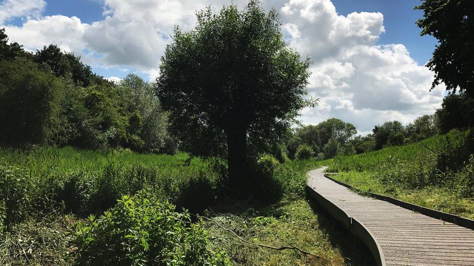 Oxfordshire's Big Picture - BBC News