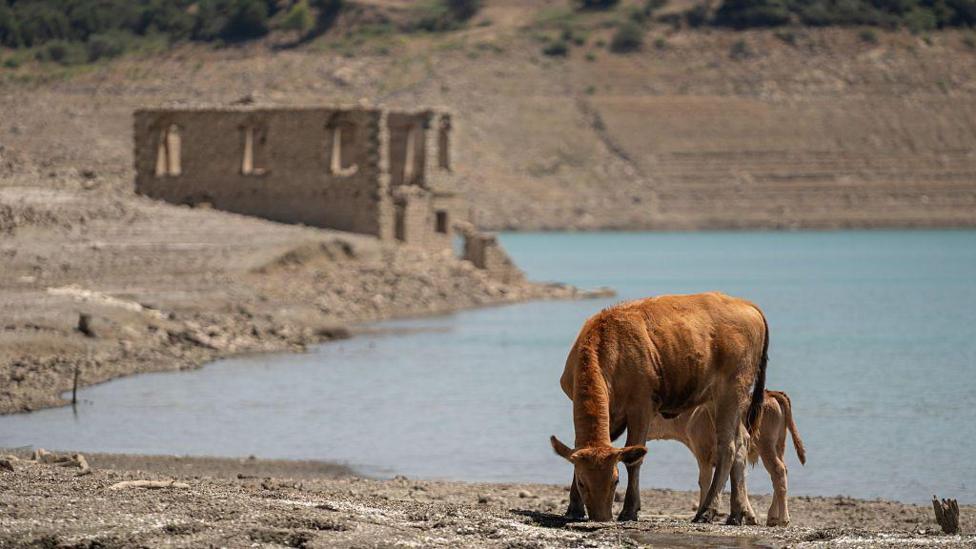 Scottish government reveals plan to reach net zero targets by 2045 ...