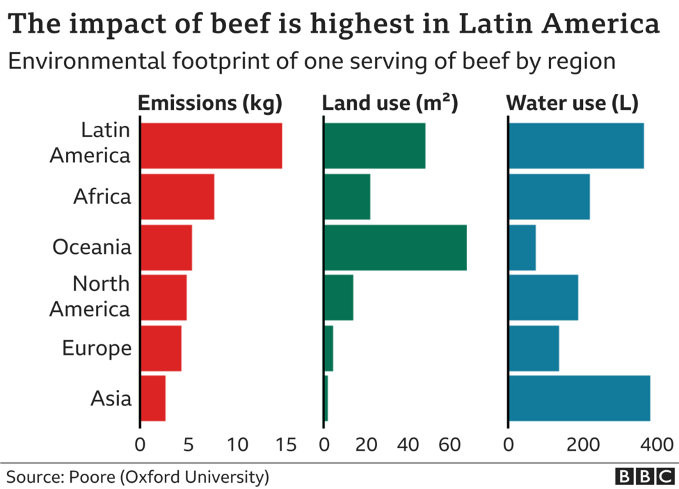 Climate change food calculator: What's your diet's carbon footprint ...