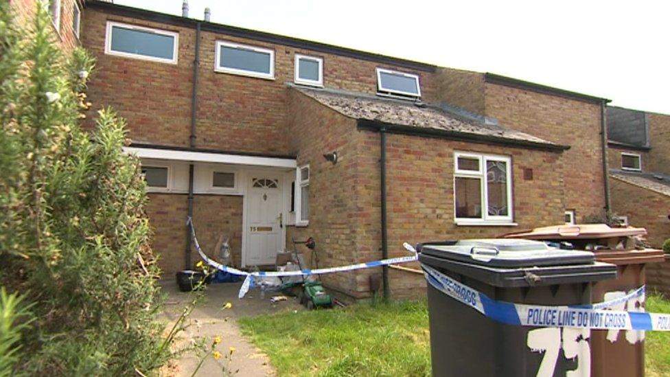 Andover murder-accused man 'has no memory' of attack - BBC News