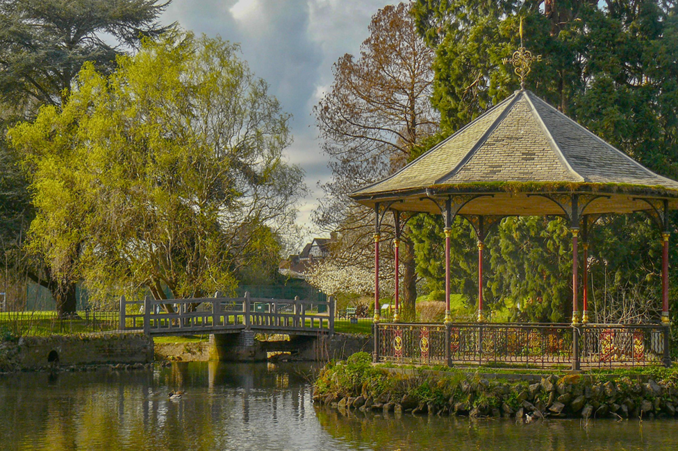 Your photos from across the West Midlands: Squirrels and sunshine - BBC ...