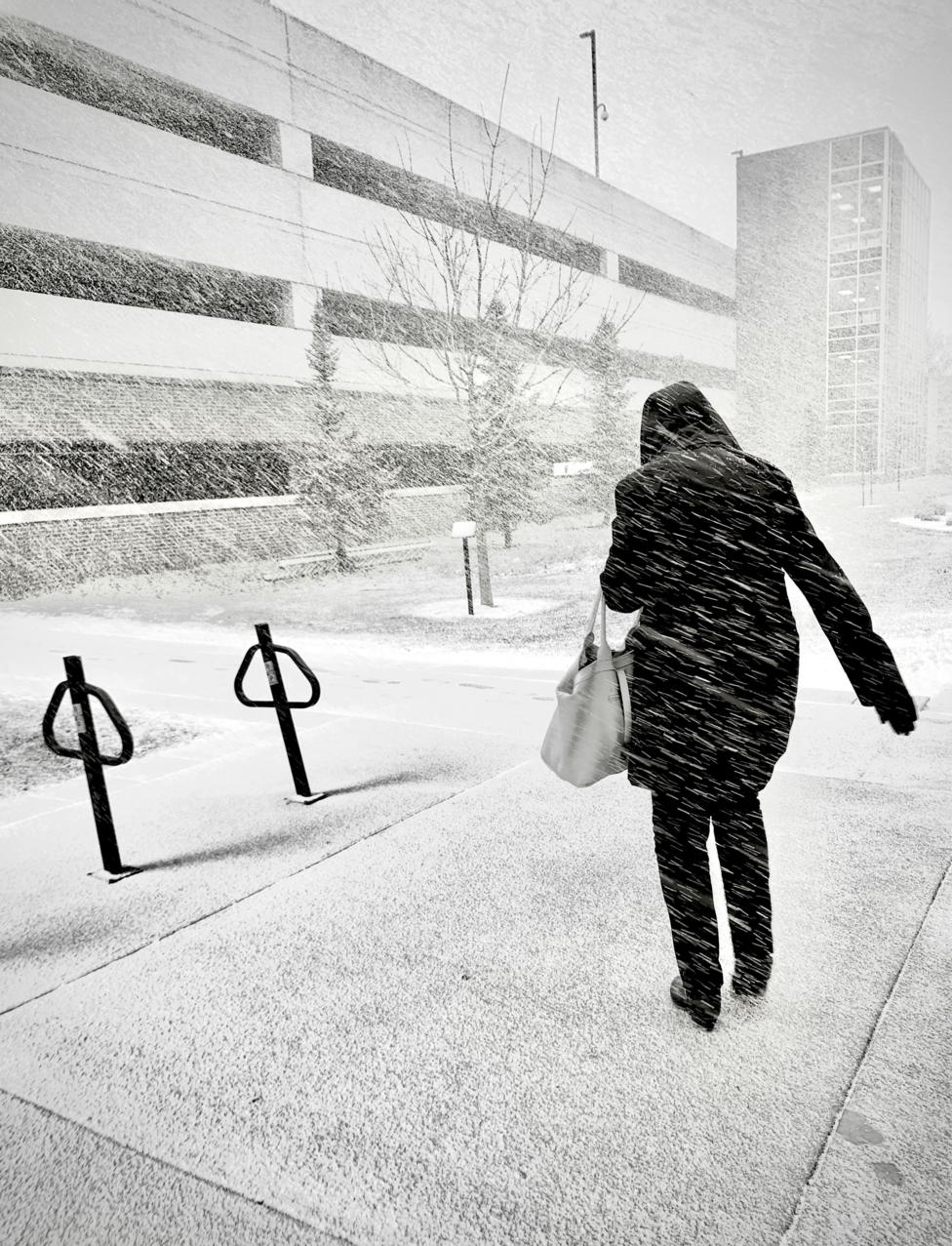 Your pictures on the theme of 'a windy day' - BBC News
