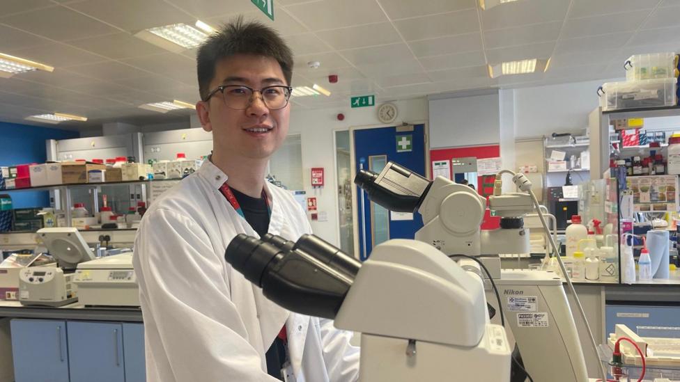 King's College scientists' lab-grown teeth breakthrough - BBC News