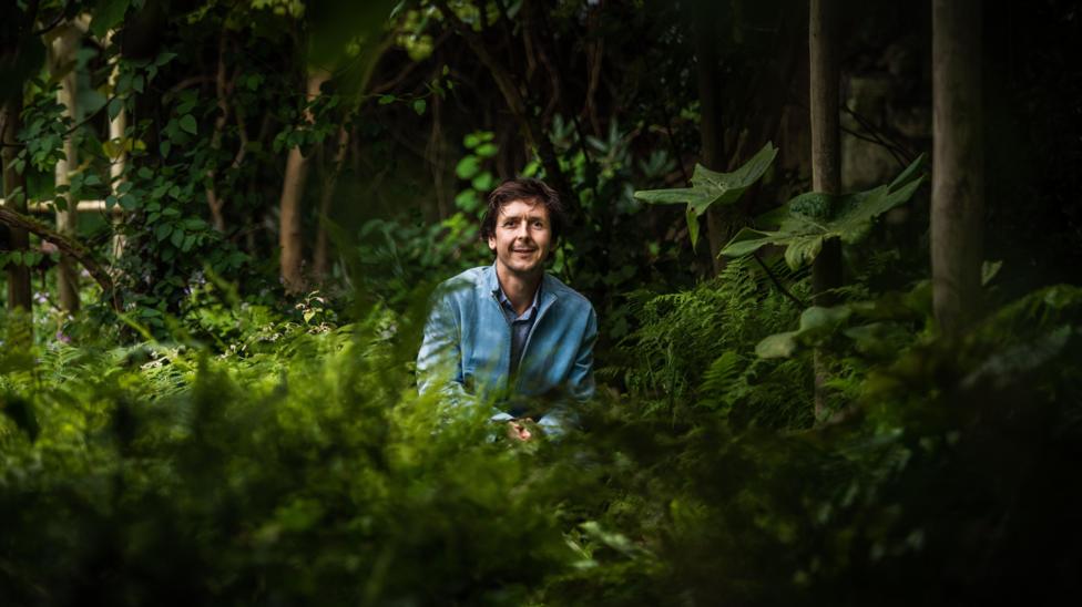 Rare Snowdonia hawkweed plant flowers at secret Eryri refuge - BBC News