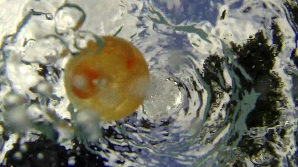 Your pictures: Splash - BBC News