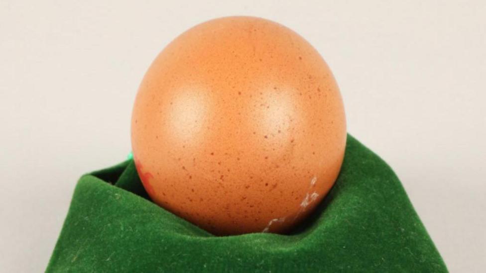 Egg-straordinary! Perfectly round egg sells at auction - BBC Newsround
