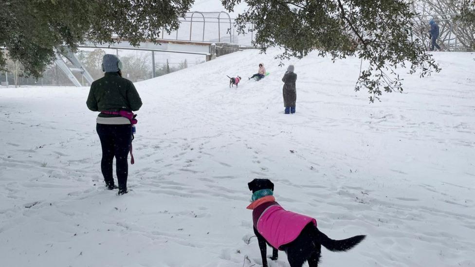 Blizzards and possible snow in southern states as cold grips North ...