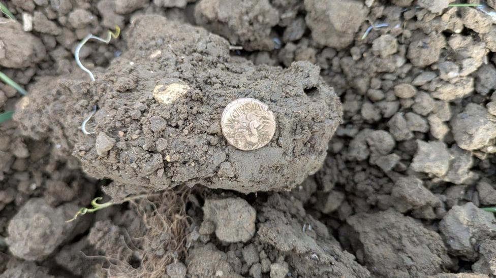 Professor finds Iron Age coin hoard near Bury St Edmunds - BBC News