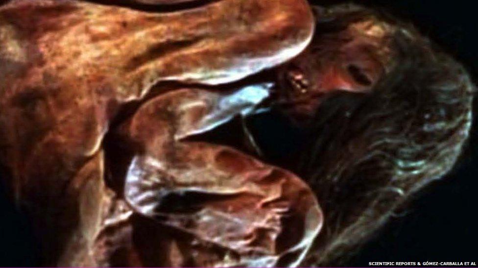 Lost genetic history of Inca child mummy - BBC News