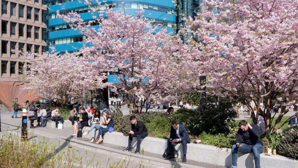 Could the spring weather be affecting your mood? - BBC Weather