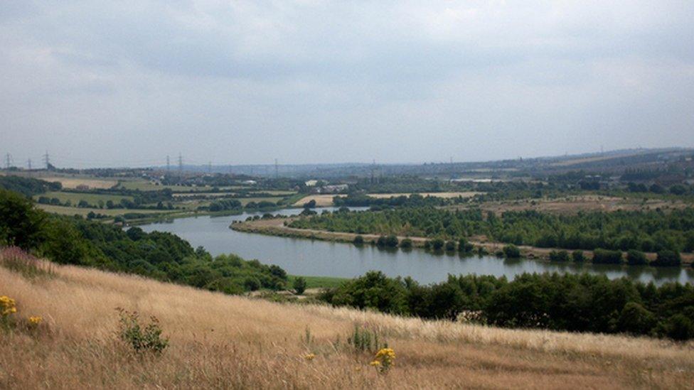 Bird flu: Dead swans at Rotherham lake confirmed as cases - BBC News