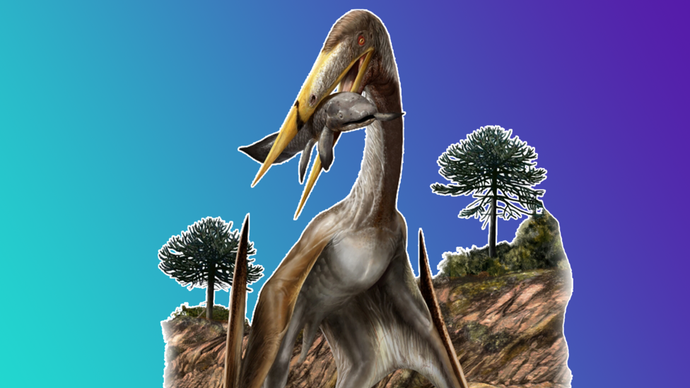 Dinosaurs: Mystery of T-Rex jaw revealed! - BBC Newsround