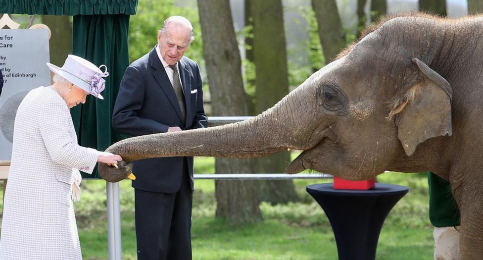 Week in pictures: 8 - 14 April 2017 - BBC News