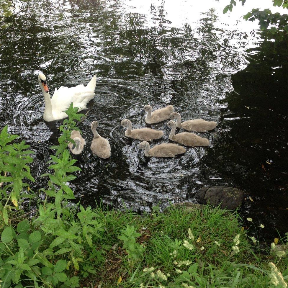 Your pictures of Scotland - BBC News