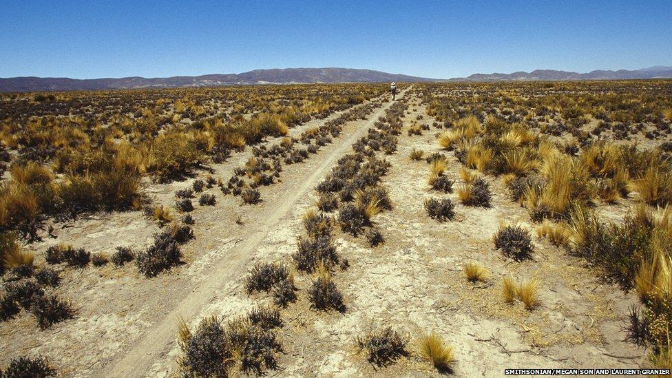 Inca Road: The ancient highway that created an empire - BBC News