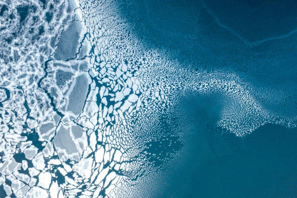 In pictures: A bird's eye view - BBC News