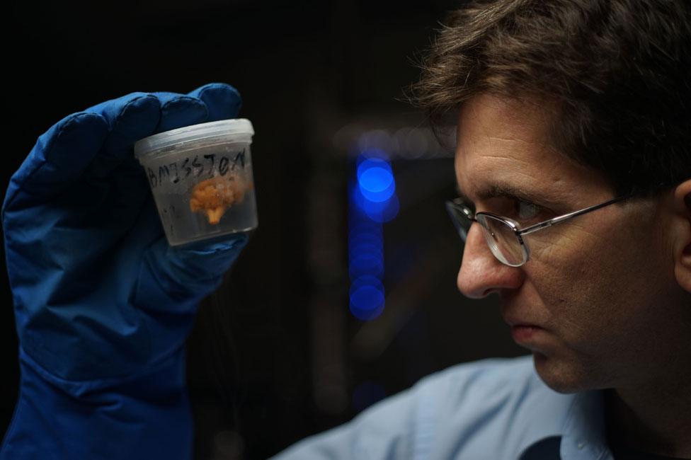 The immortalist: Uploading the mind to a computer - BBC News