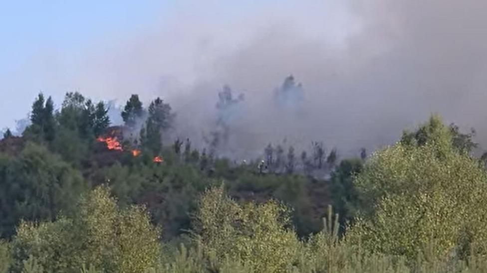 Fire breaks out in fields close to Guildford - BBC News