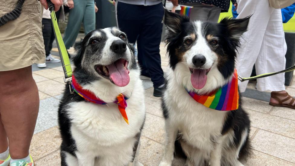 Foyle Pride: Thousands of people expected to attend parade - BBC News
