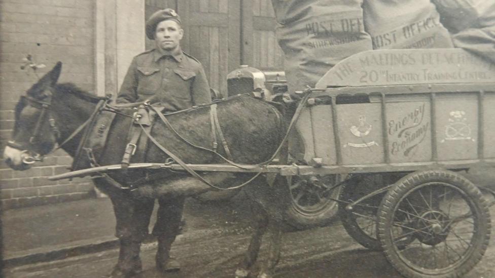 The donkey who delivered Shrewsbury's Christmas post - BBC News