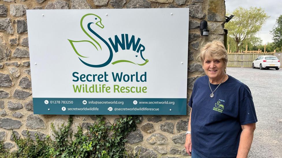 Secret World Wildlife Rescue reducing catchment amid rise in demand ...