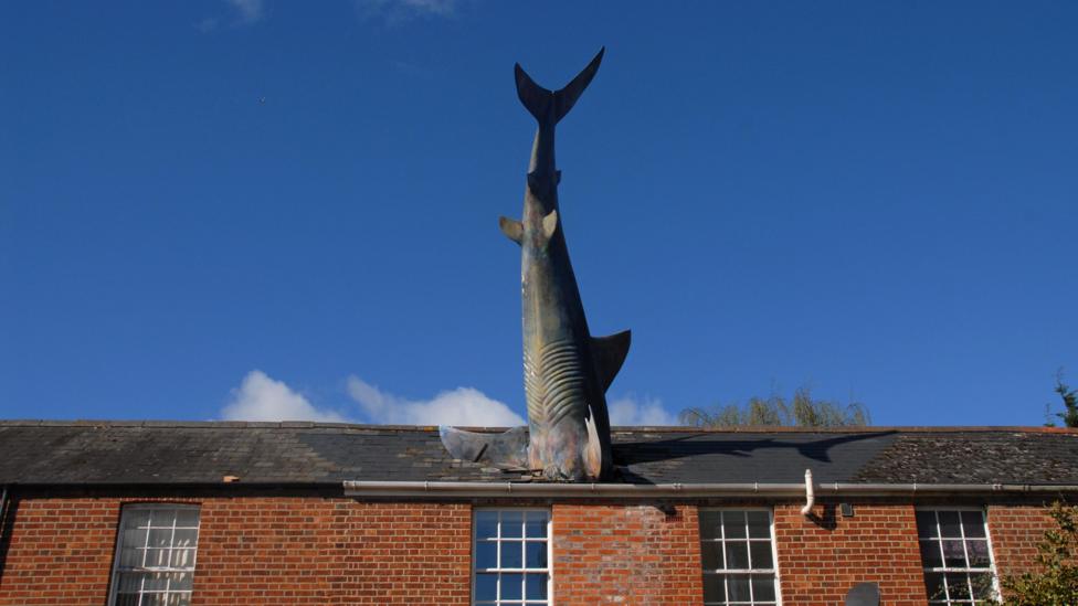 Headington Shark House owner loses short-term lets appeal - BBC News