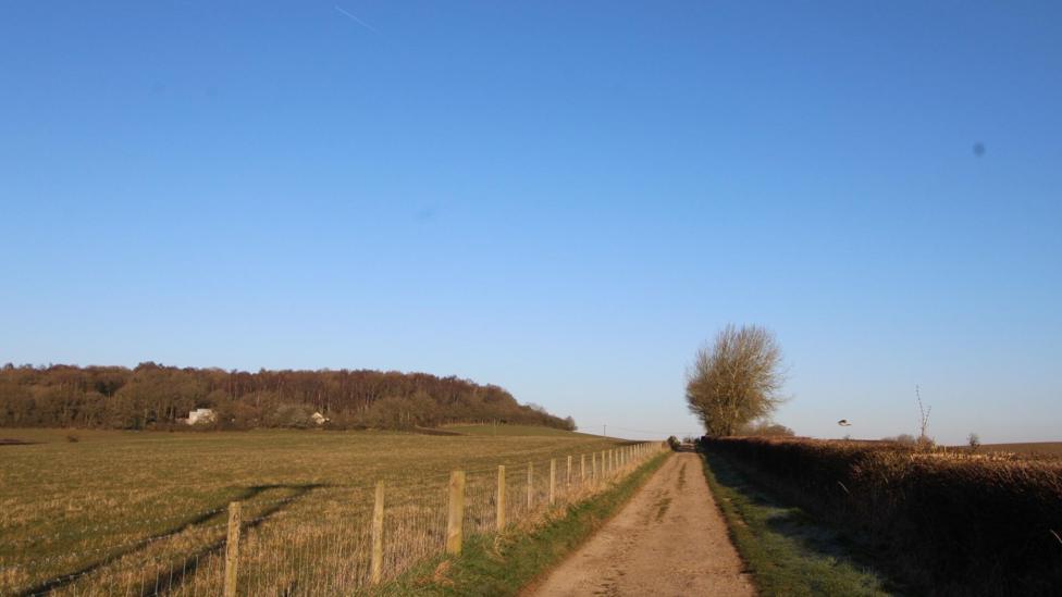 First day of spring may bring warmest day of year so far - BBC Weather