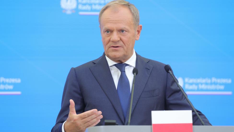 Poland's new firearms bill sparks human rights' concerns - BBC News