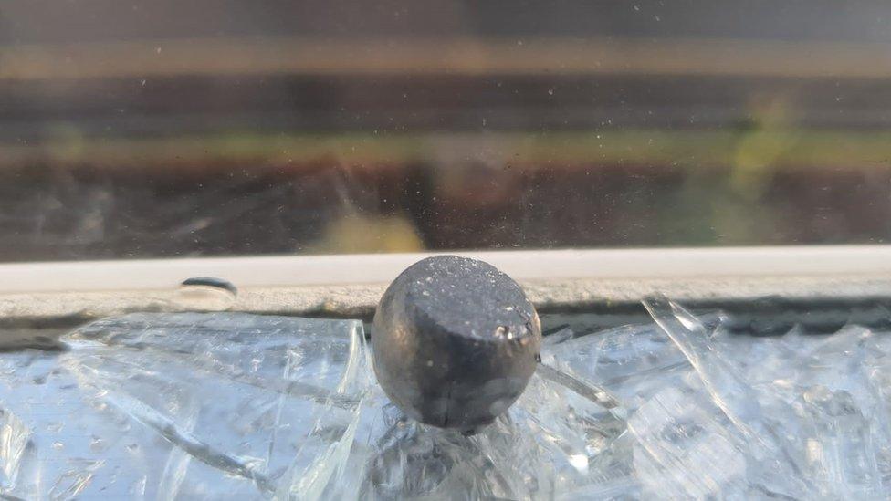 Poole family traumatised after pellet smashes window - BBC News