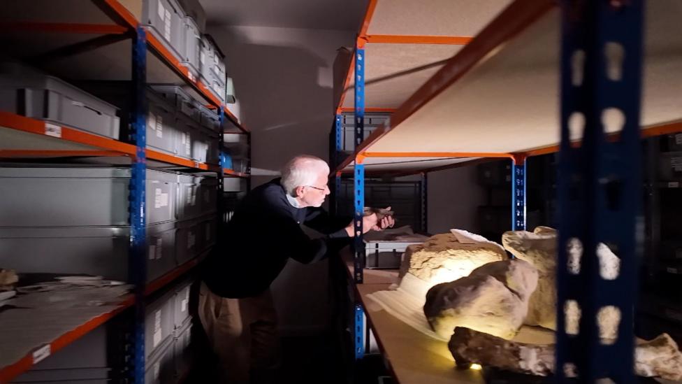 The GP turned Isle of Wight dinosaur hunter rewriting history - BBC News