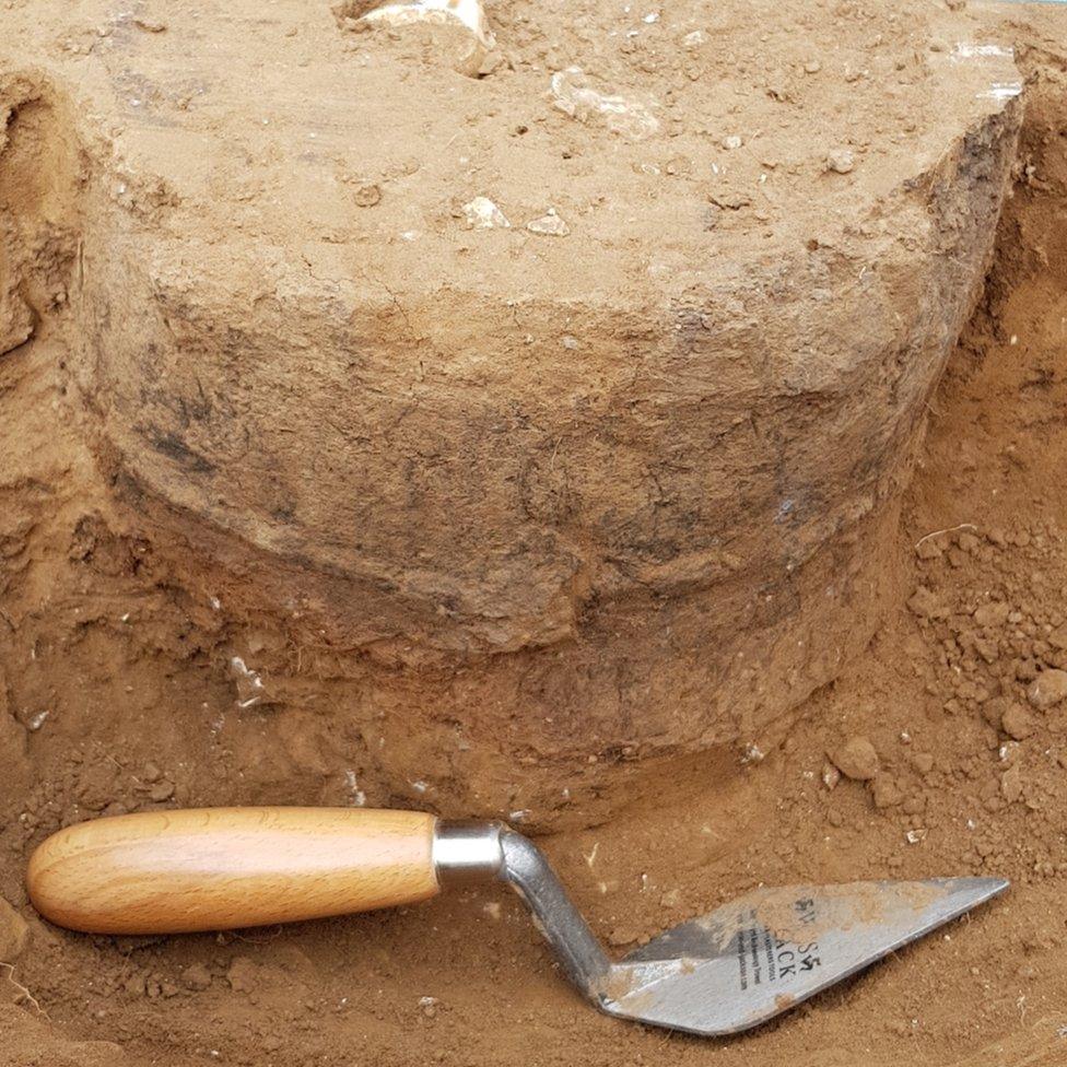 New Forest Stone Age nutshell 'reveals prehistoric campsite' - BBC News