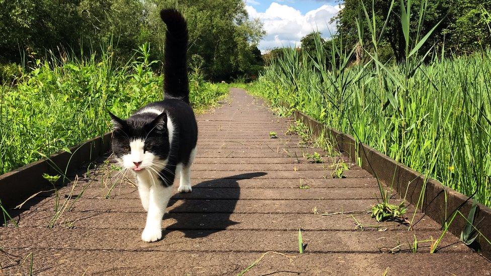 Oxfordshire's Big Picture - BBC News